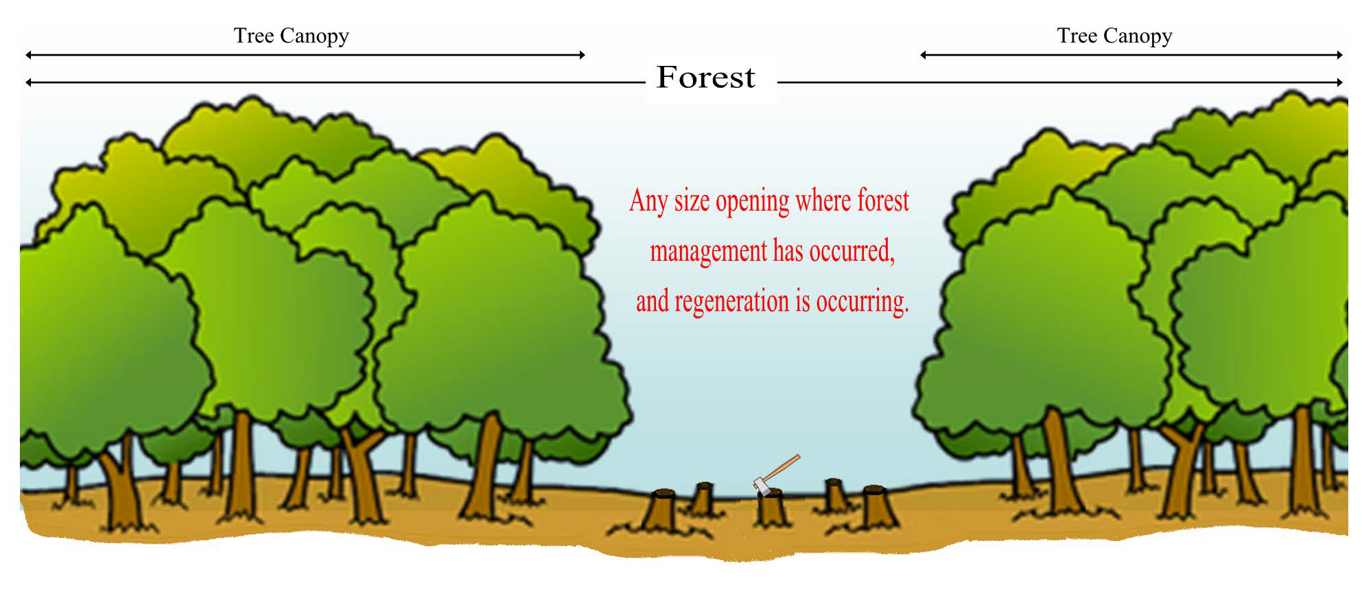 Forest Tree Data