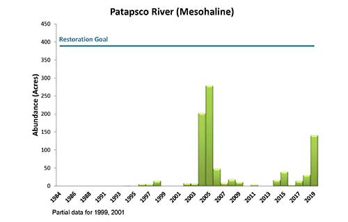 Patapsco Back Rivers Bay