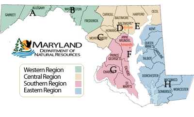 Wildlife Education Trunks